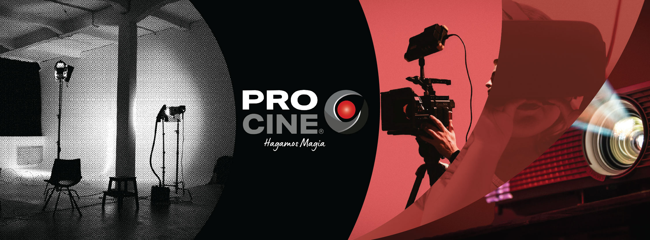 Procine